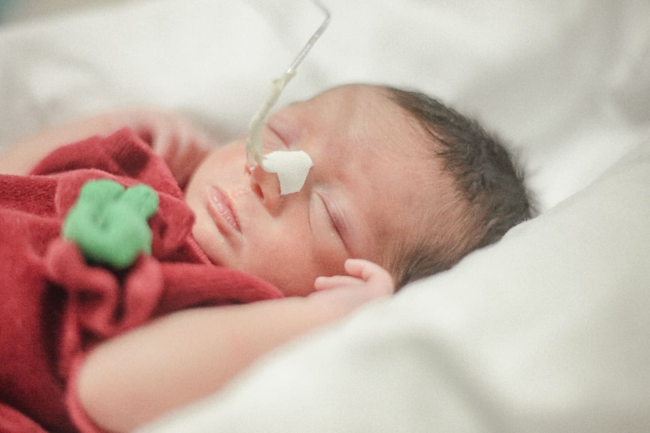 Bebês de UTI Neonatal de Blumenau fazem ensaio fotográfico natalino ...