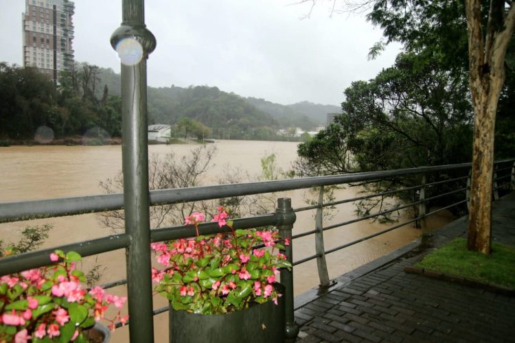 Rio Itajaí-Açu estabiliza em Blumenau; confira atualização da Defesa ...