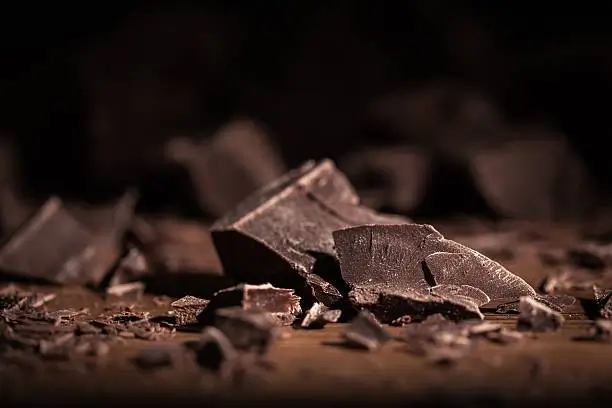 Maior barra de chocolate do Brasil será produzida em Timbó - Guararema News