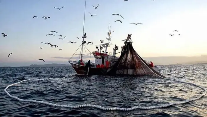 Governo Federal abre inscrições para pesca industrial da tainha ...